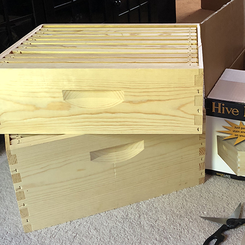 Our Beekeeping Journey - Here We Go! - Strength of Love